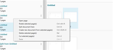 Split From Attached To Document Names From Quick Fields Scanning