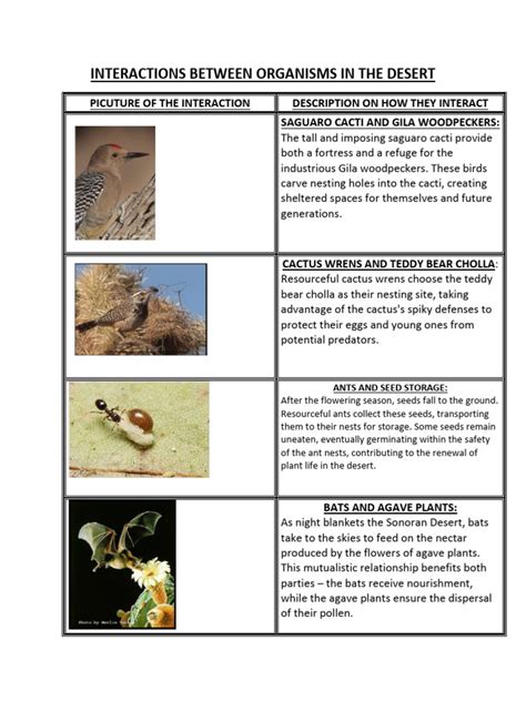 Interactions Between Organisms In The Desert Pdf