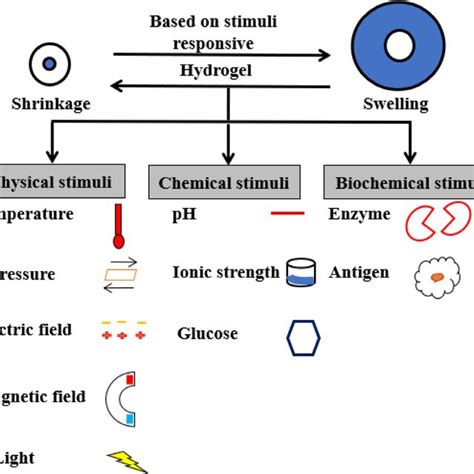 Classification Of Hydrogels Download Scientific Diagram