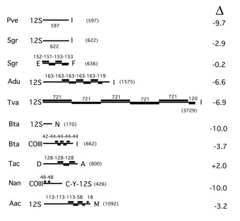 Summary Of The Properties Of Non Coding Regions Found In The Download Scientific Diagram