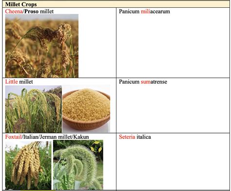 Crop Classification