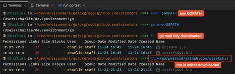 golang problems gopath fleet support jetbrains