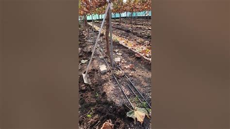 행복농장퇴비살포 Youtube