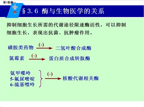 全屏显示课程 章节