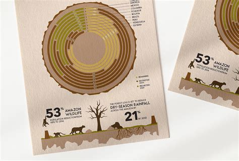 Deforestation Statistical Chart Information Design 5 Images Behance