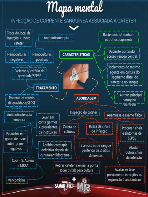 Mapa Mental InfecÃ Ã O SanguÃ Nea Associada A Cateter Pdf