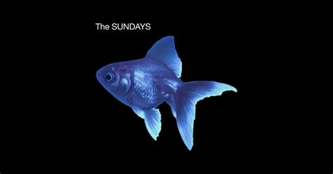 The Sunday Reading Writing And Arithmetic The Sundays Sticker