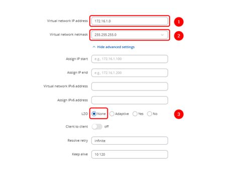 File Openvpn Tun Server Network Png Teltonika Networks Wiki