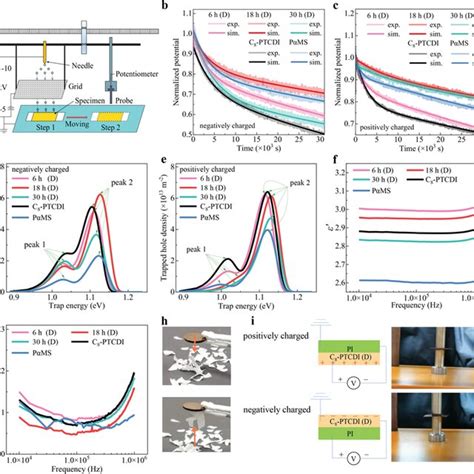 Charge Storage Characteristics Dielectric And Electrostatic Adsorption
