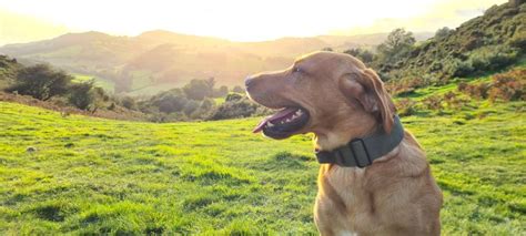 David Wreschak On Linkedin Ats Recruitment Applicanttrackingsystem