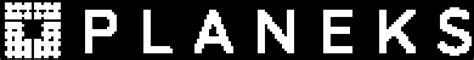 Python Web Development Company Planeks