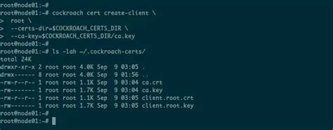 How To Deploy Secure Cockroachdb Cluster On Ubuntu 2004 Server