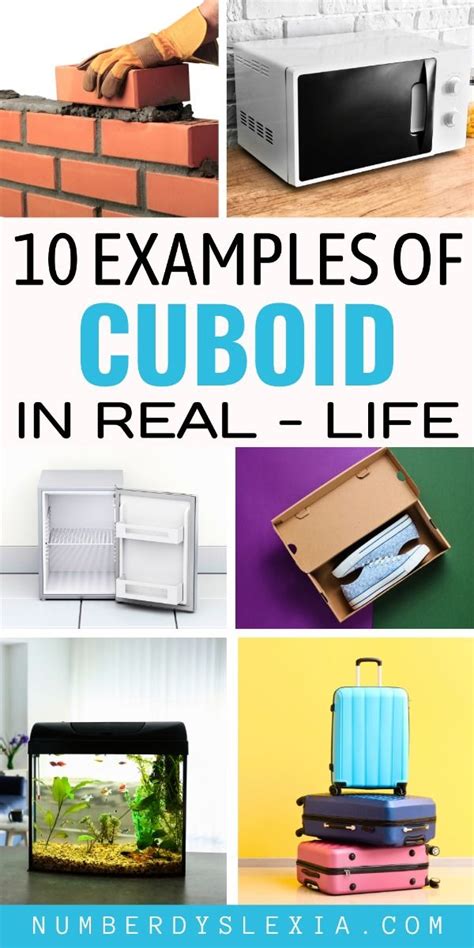 10 Examples Of Cuboid In Real Life