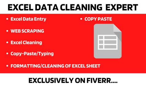 Ms Excel Data Cleaning And Document Formating By Samirehman206 Fiverr