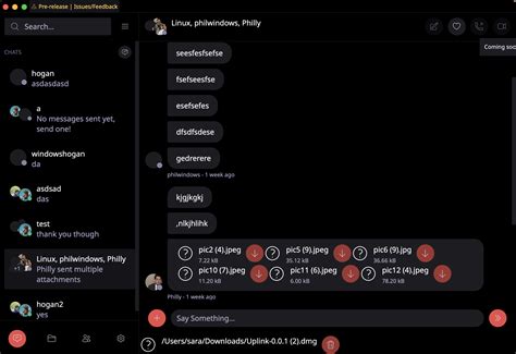 Bugtoast Toast Is Hidden · Issue 822 · Satellite Imuplink · Github