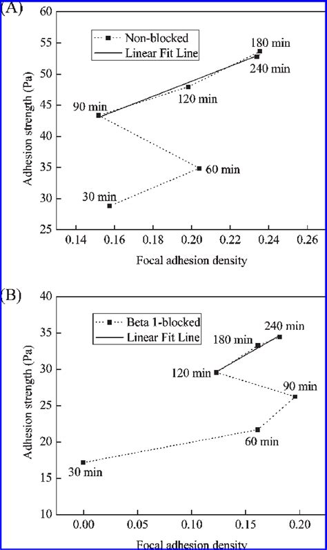 Relationship Between Adhesion Strength And Focal Adhesion Density A Download Scientific