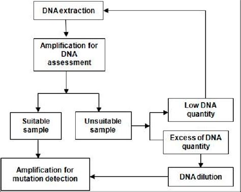 Workflow For Screening Of Patient Samples For Egfr Mutations Download Scientific Diagram