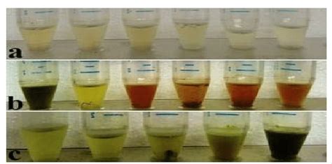 Screening Of Most Bioactive Fraction Collected From Column