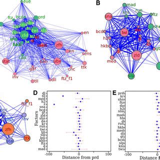 TF TF Interactions Derived From Experimental Data Giot Et Al 2003 Download Scientific