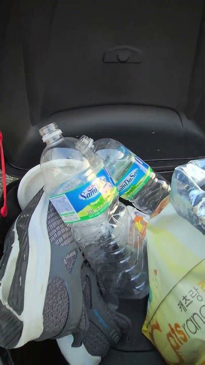 음식물 쓰레기 먹는 시골 길고양이들 Youtube