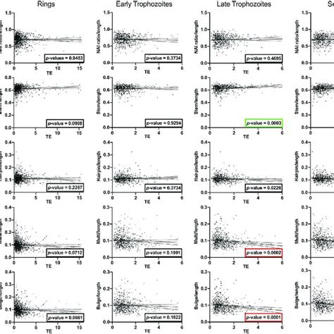 Impact Of Various Rna Motifs On Transcription Efficiency Across The Download Scientific Diagram