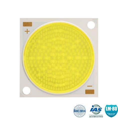 News High Efficiency W Chip Led Cob