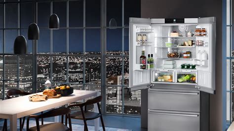 Liebherr Fridge Display Not Working At Sylvia Partington Blog