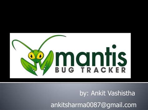 Setting Up Mantisbt Ppt