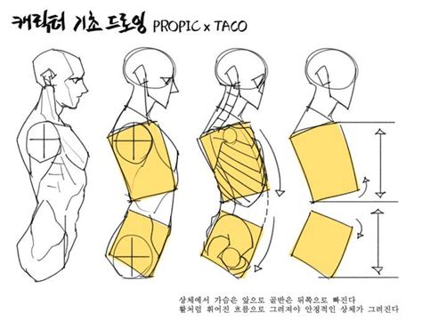 타코작가 Taco1704 Twitter 드로잉 강좌 드로잉 인물 그리기 튜토리얼