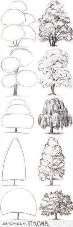 Basic Tree Sketch At PaintingValley Com Explore Collection Of Basic Tree Sketch