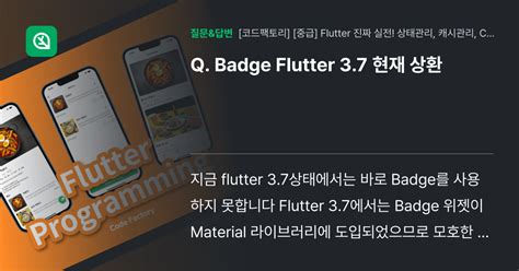 Badge Flutter 37 현재 상환 인프런 커뮤니티 질문and답변