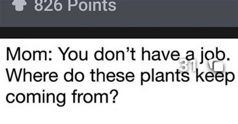 Imgur Fp Algorithm Made A Funny Album On Imgur