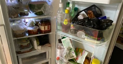 냉장고 전부폐기후 청소 김동준 숨고 숨은고수