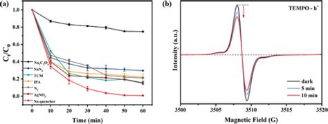 Accumulation Of Long‐lived Photogenerated Holes At Indium Single‐atom Catalysts Via Two