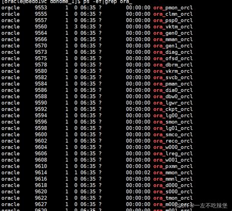 【2024亲测无坑】在centos 7虚拟机上安装oracle 19c centos7 安装oracle19c csdn博客