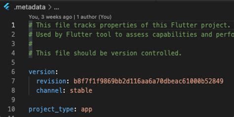 what is metadata file in flutter project dev community