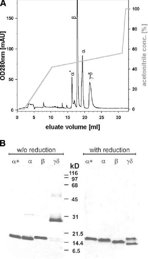 figure 1 from the cid 1 2 cid 2 1 integrin speciﬁc antagonist