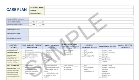 Care Plan Easy Template Nursing Home Assisted Living Printable Pdf