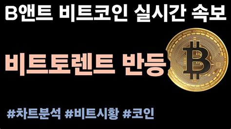 비트코인실시간 1211 비트토렌트 반등 Btc 도미넌스 감소 알트시즌 기대 상승 비트코인 비트코인실시간 리플 이더리움 코인방송 도지코인 이더리움클래식