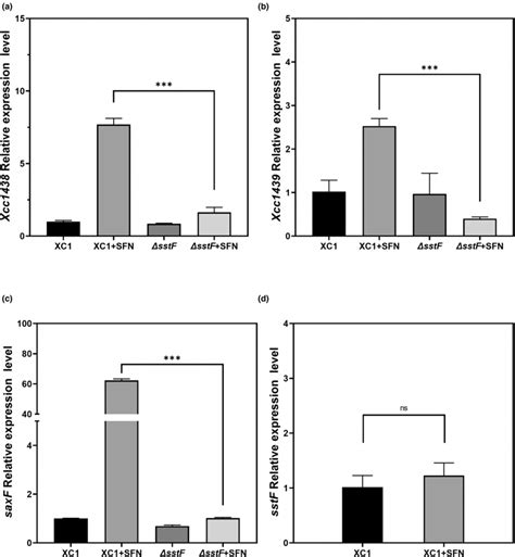 Protein Sequence And Structure Alignment Of Sstf And Crga A