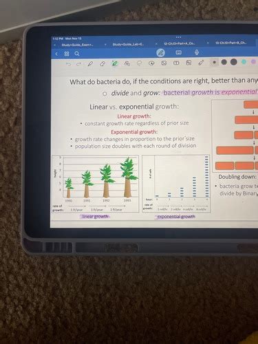 Lecture Exam Review Flashcards Quizlet Lecture Exam Review Flashcards Quizlet