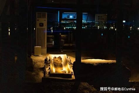 杭州这座博物馆的外观就像一艘船，内有我国八千年前第一艘独木舟 跨湖桥