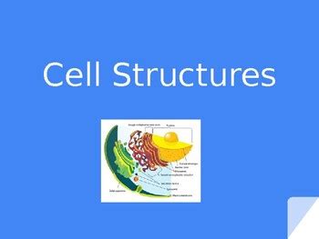 Cell Structures Powerpoint By Jamie Minto TPT
