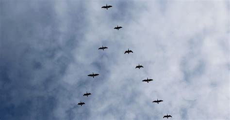 What Is Cloud Repatriation Ubuntu