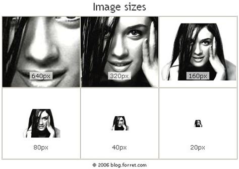 How To Change Image Size In HTML