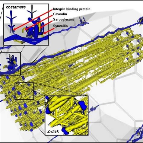 Using The 100000 Simulated Cluster Analysis Data To Visualise Two Download Scientific Diagram