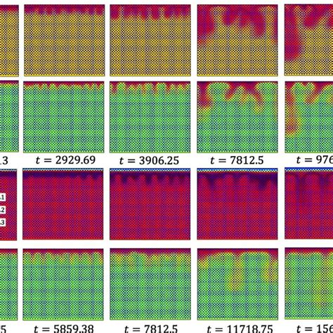 Snapshots Of The Solute Concentration Profile In Region R3 3a R D