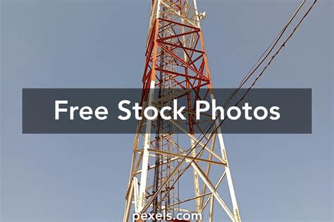 Cell Based Assays Photos Download The Best Free Cell Based Assays