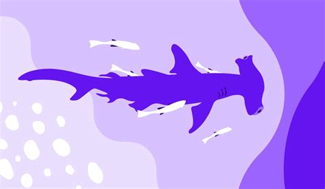Introducing Digitalocean Functions A Powerful Serverless Computing