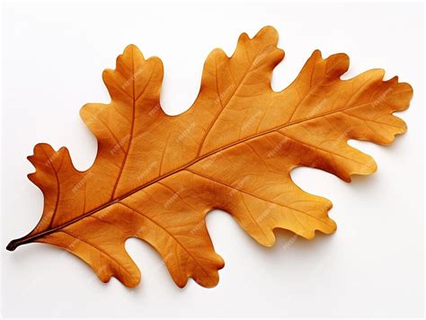 Premium Ai Image A Leaf From The Maple Leaf Is Shown With A Small Leaf In The Center